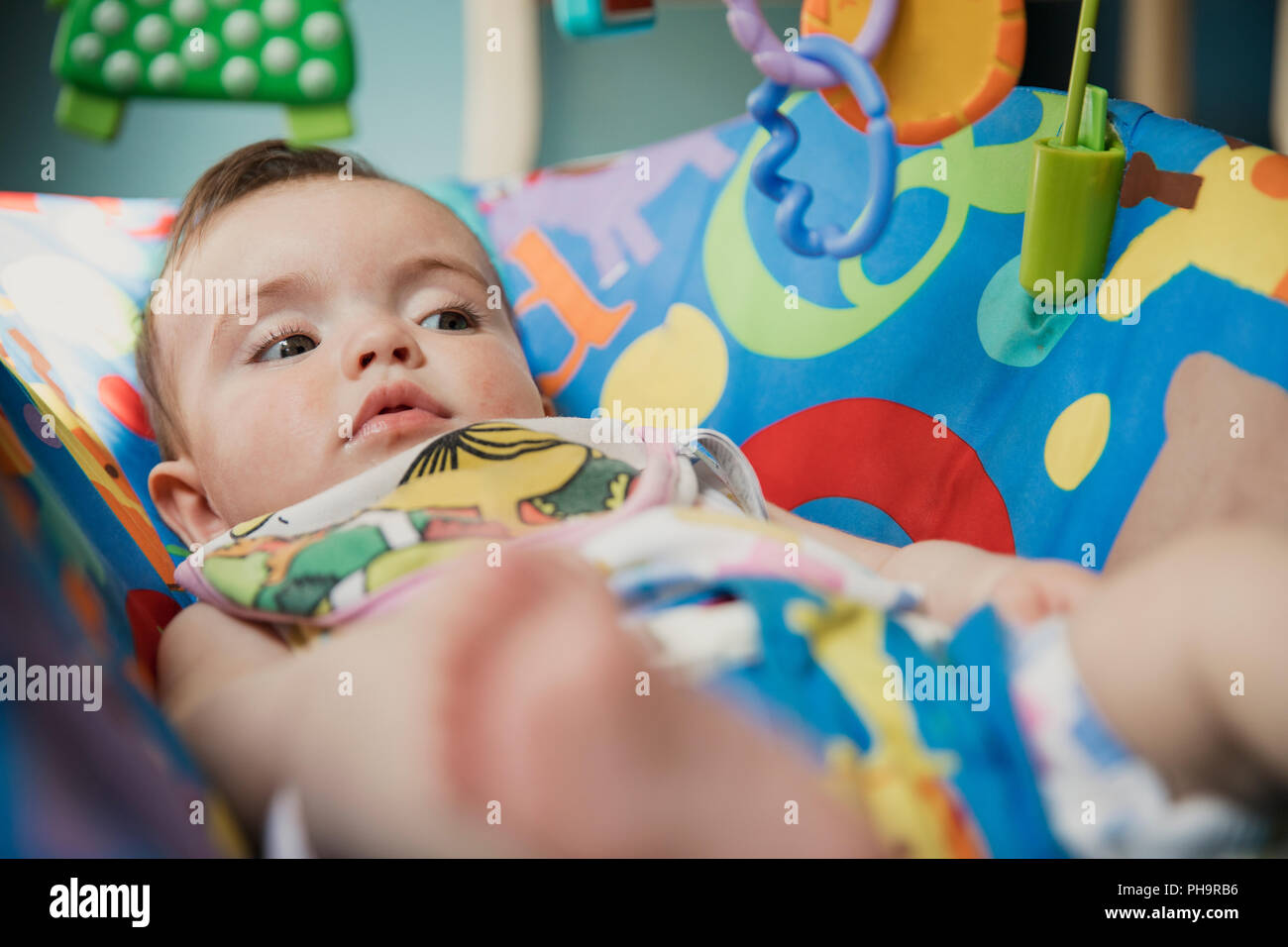 Low angle, close-up view of a baby girl lying in a baby bouncer ...