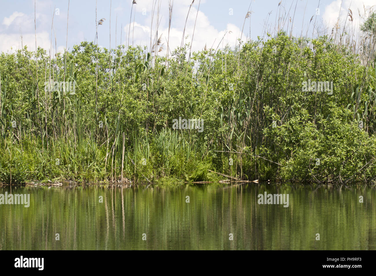 Tataru hi-res stock photography and images - Alamy
