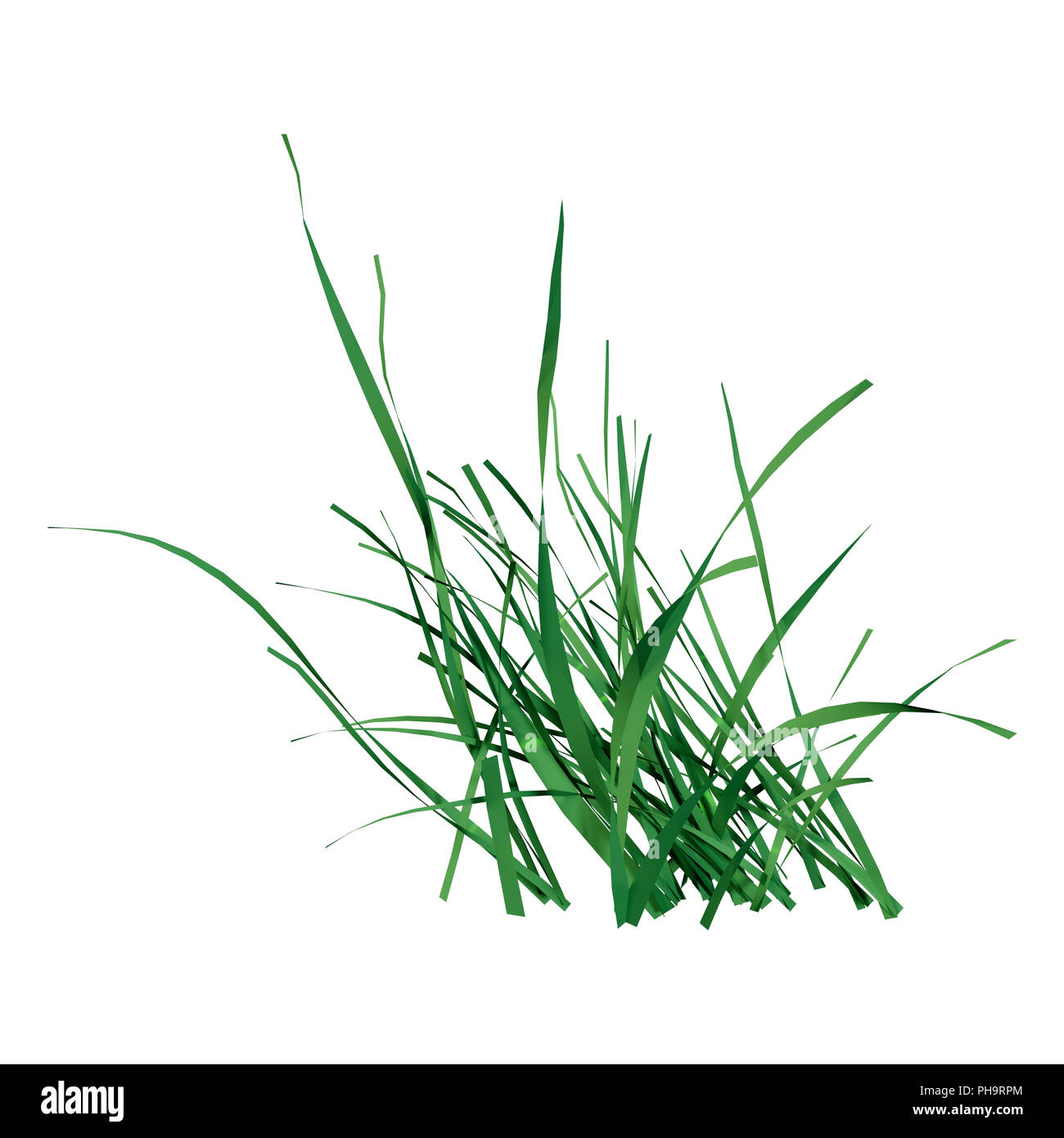 3D rendering of a green grass clump isolated on white background Stock ...
