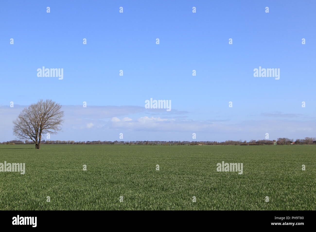Lonely field hi-res stock photography and images - Alamy