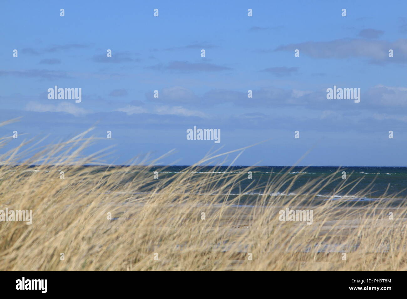 Baltic spring hi-res stock photography and images - Alamy