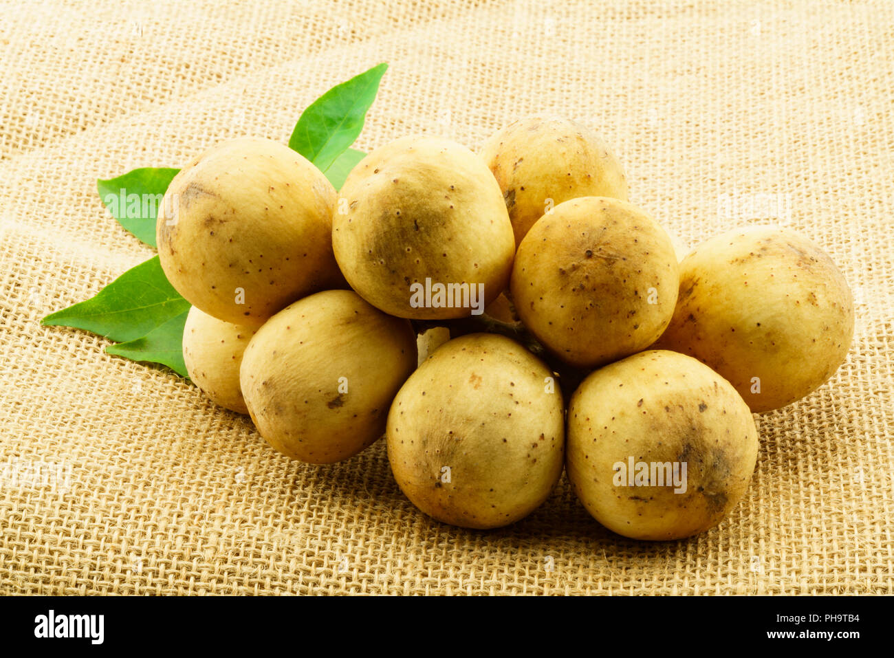 Longkong hi-res stock photography and images - Alamy