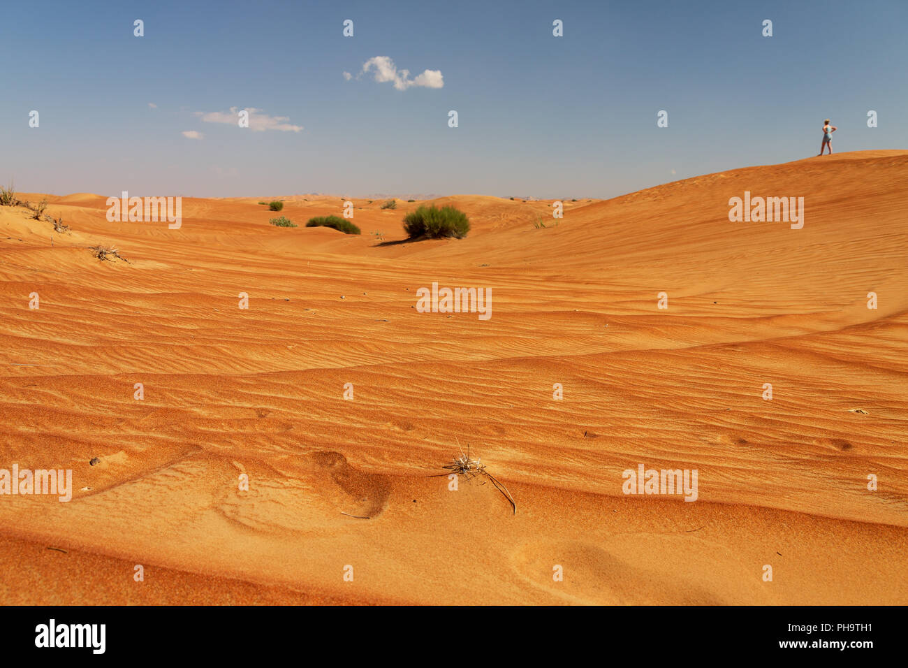 Desert in United Arab Emirates Stock Photo - Alamy