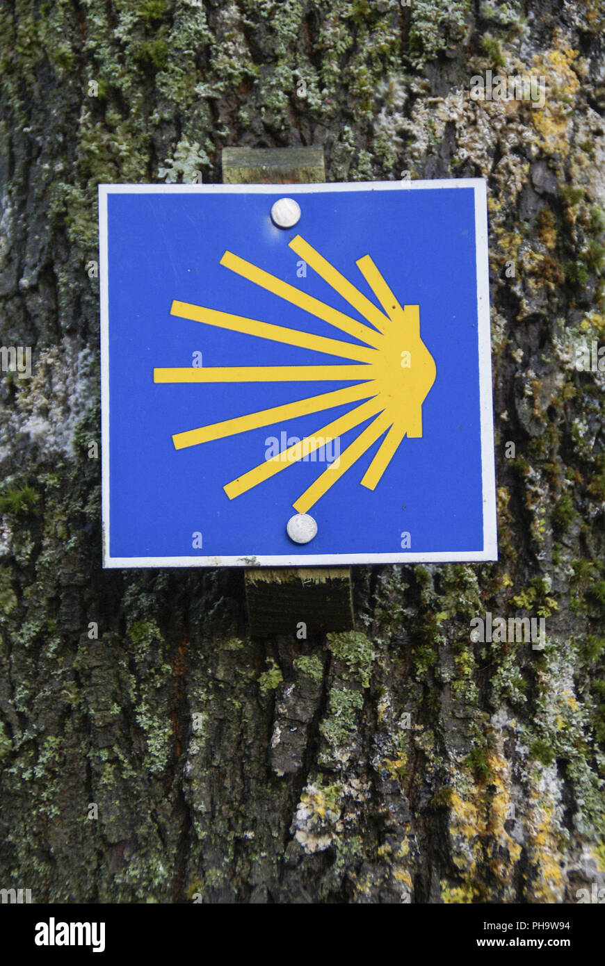 Rottenburg hi-res stock photography and images - Alamy