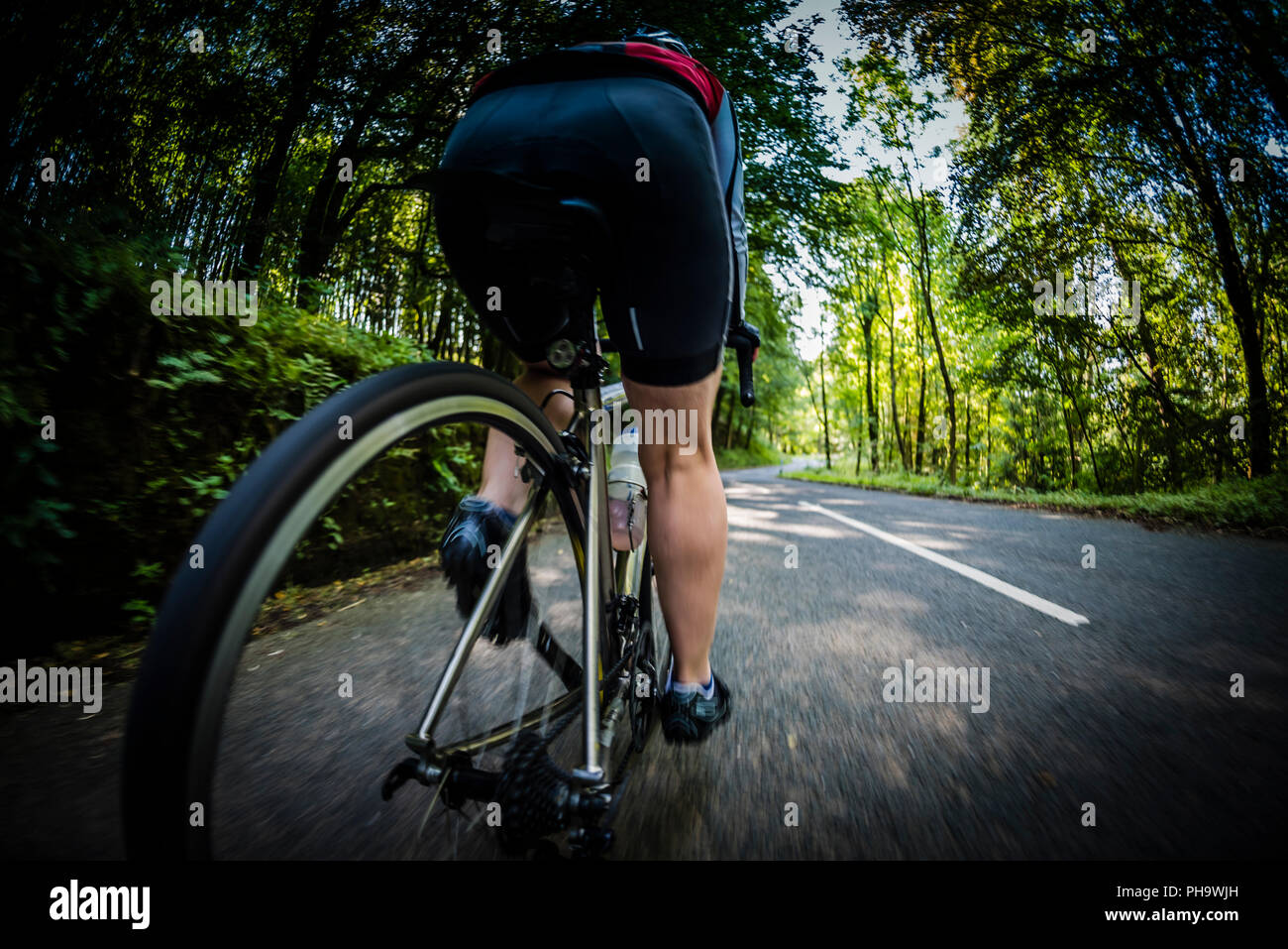 Female cyclist cycling along a rural road in Bowland, Lancashire, UK ...