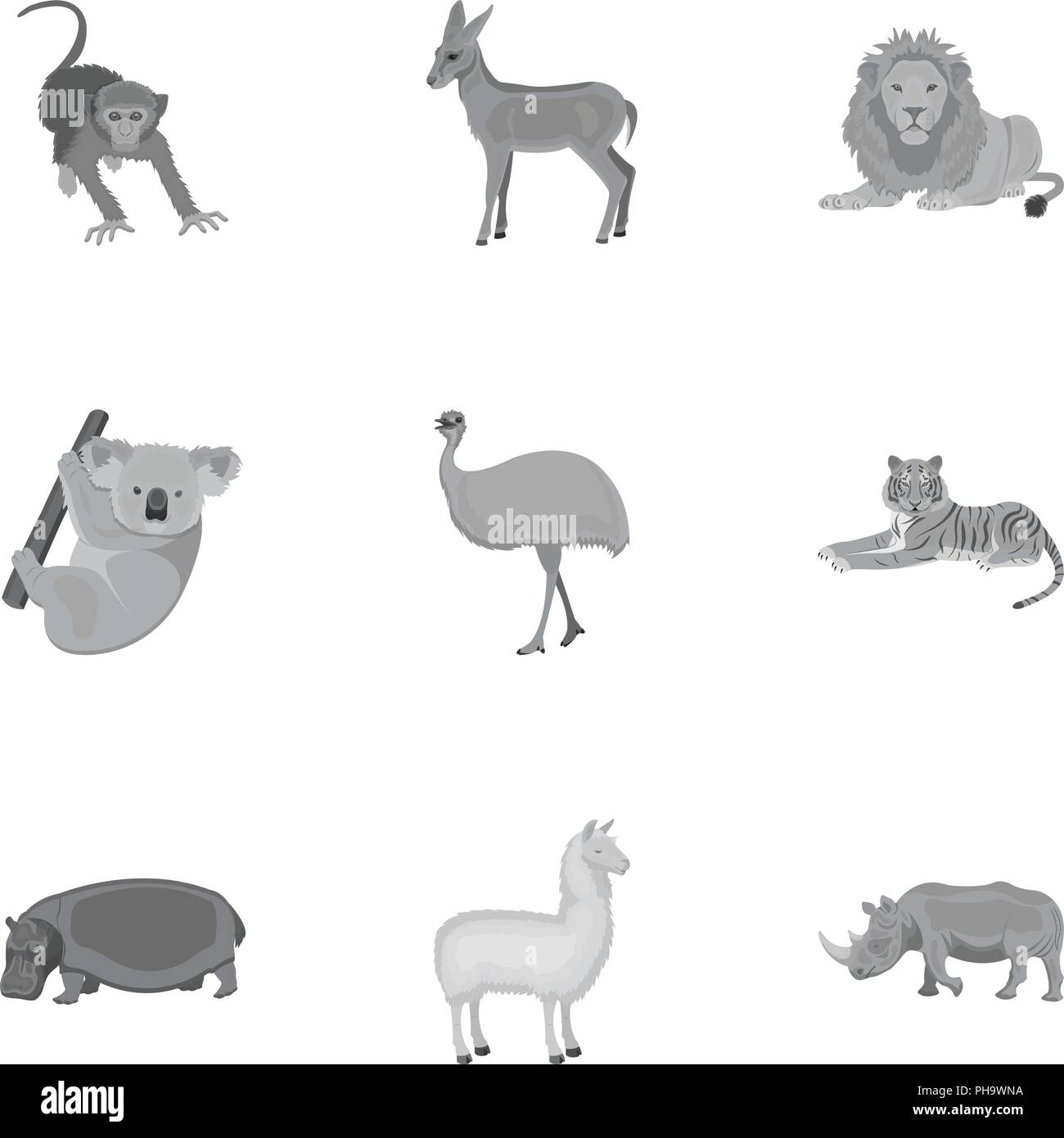 Artiodactyla Animals