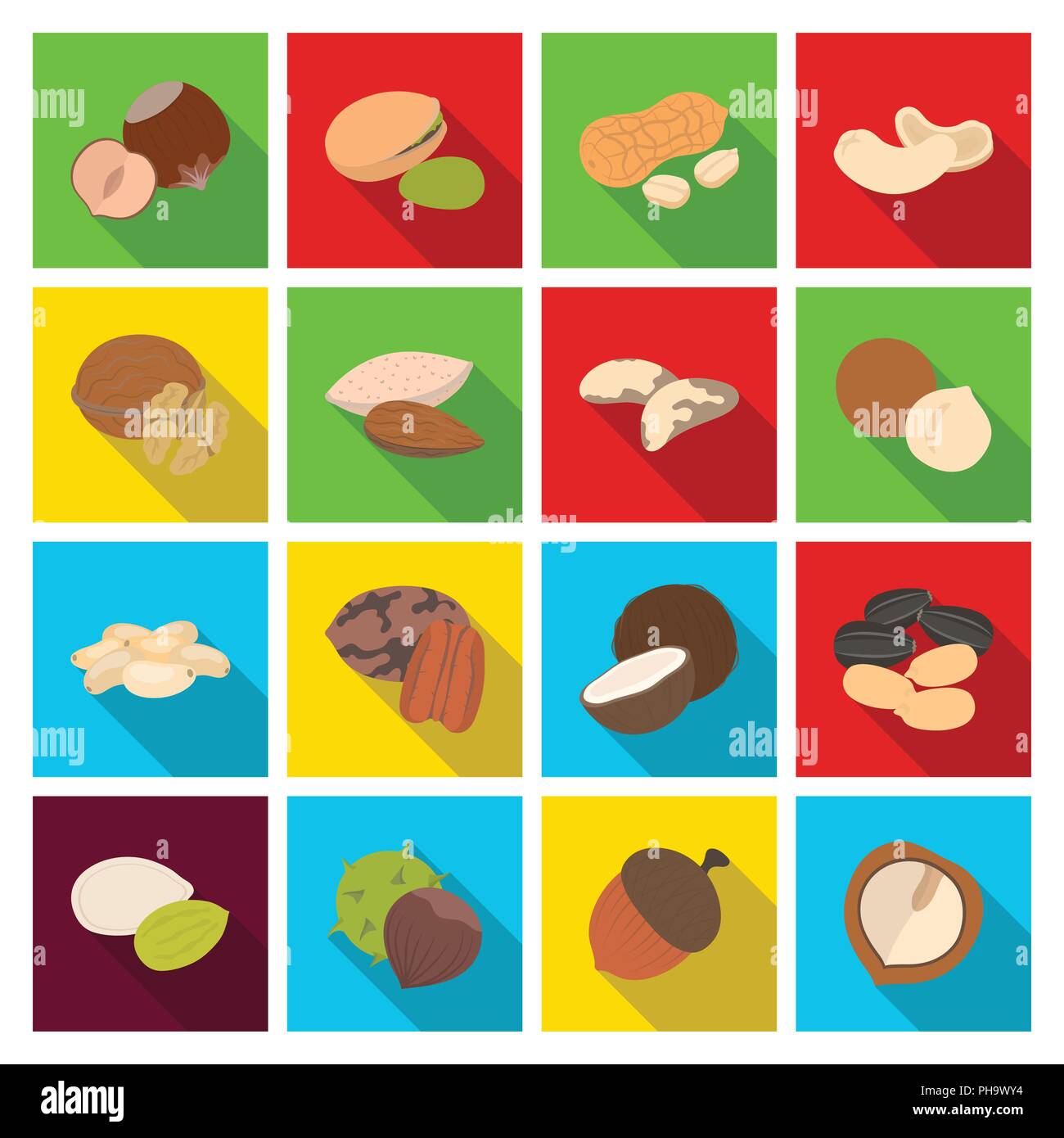 Different kinds of nuts flat icons in set collection for design.Nut ...