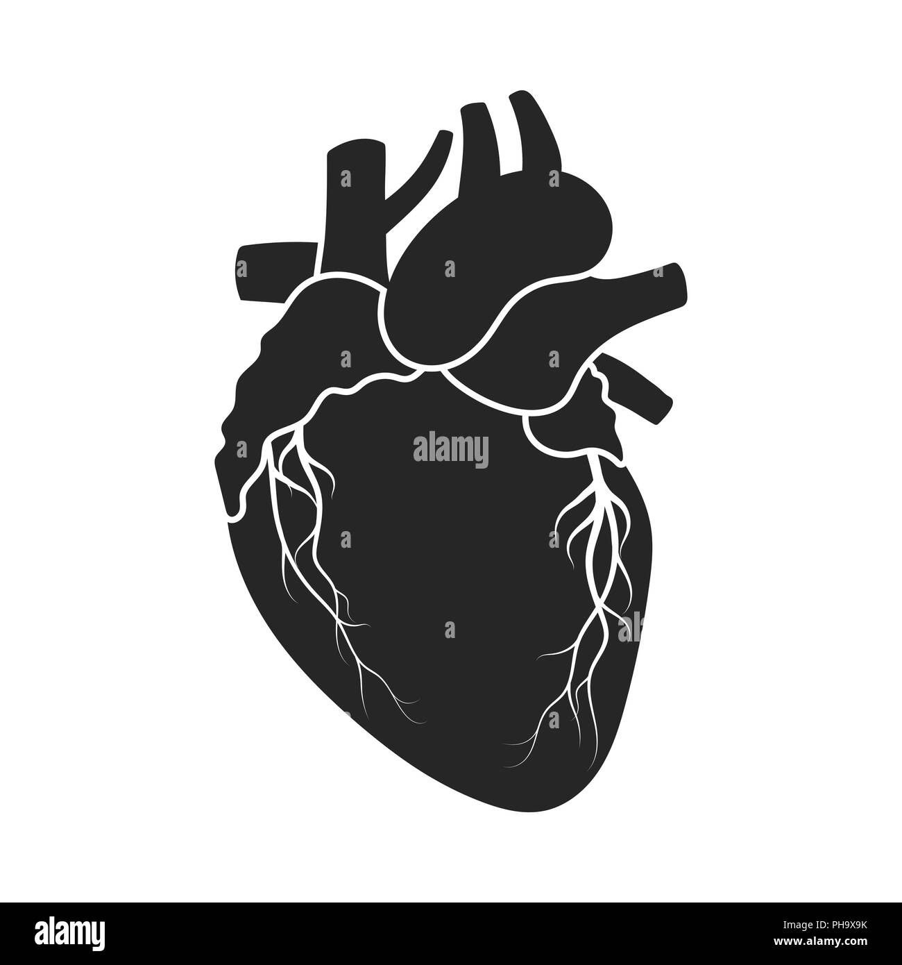 Real Heart Symbol Silhouette