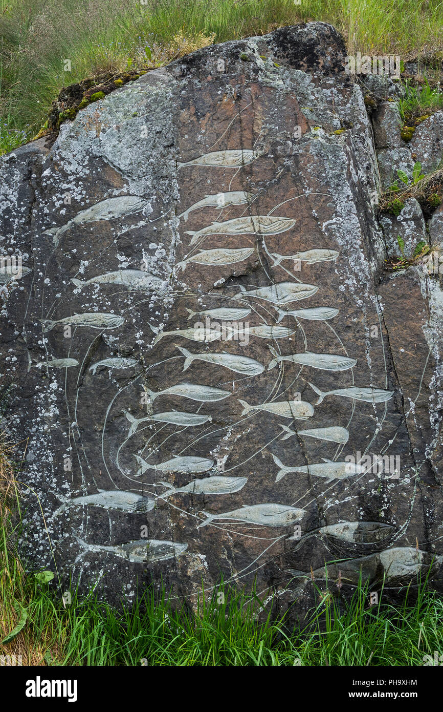 Denmark, Greenland, Qaqortoq, Inuit rock carvings, fish Stock Photo - Alamy