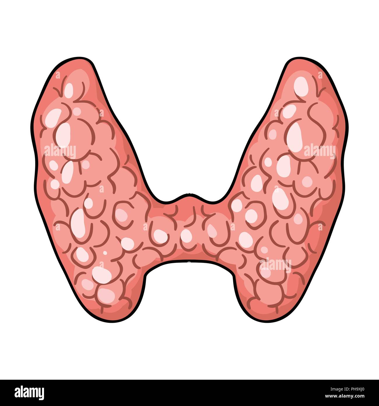 Human thyroid icon in cartoon style isolated on white background. Human ...