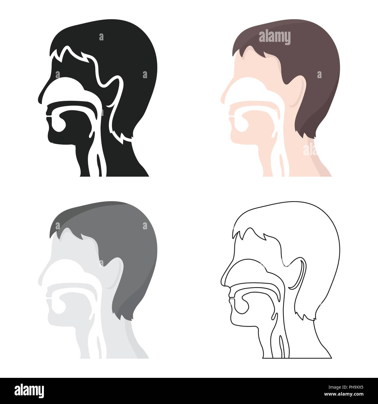 Respiratory system icon cartoon. Single medicine icon from the big ...
