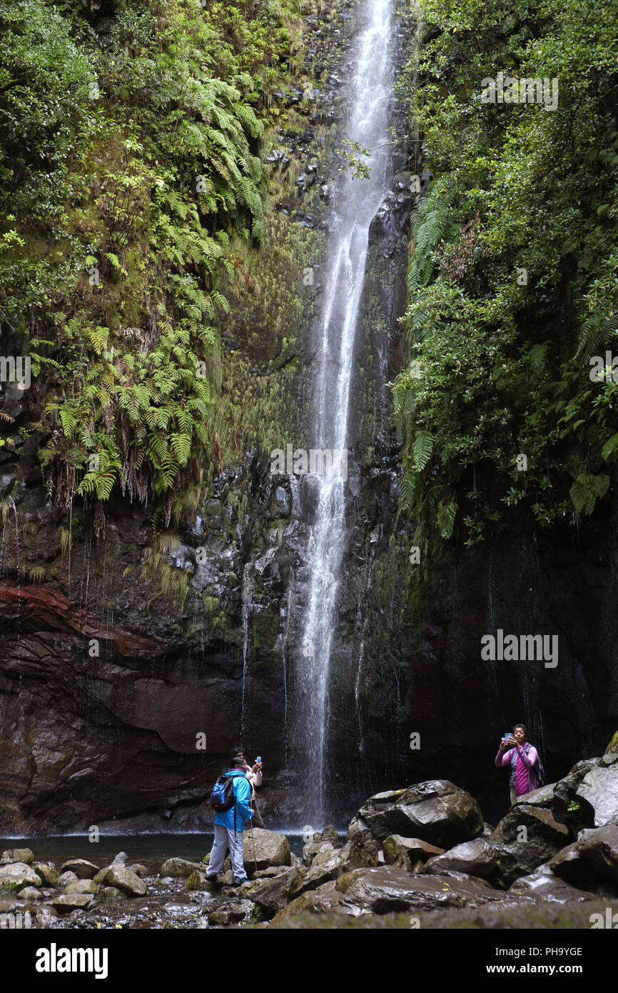 Madeira waterfall hi-res stock photography and images - Alamy