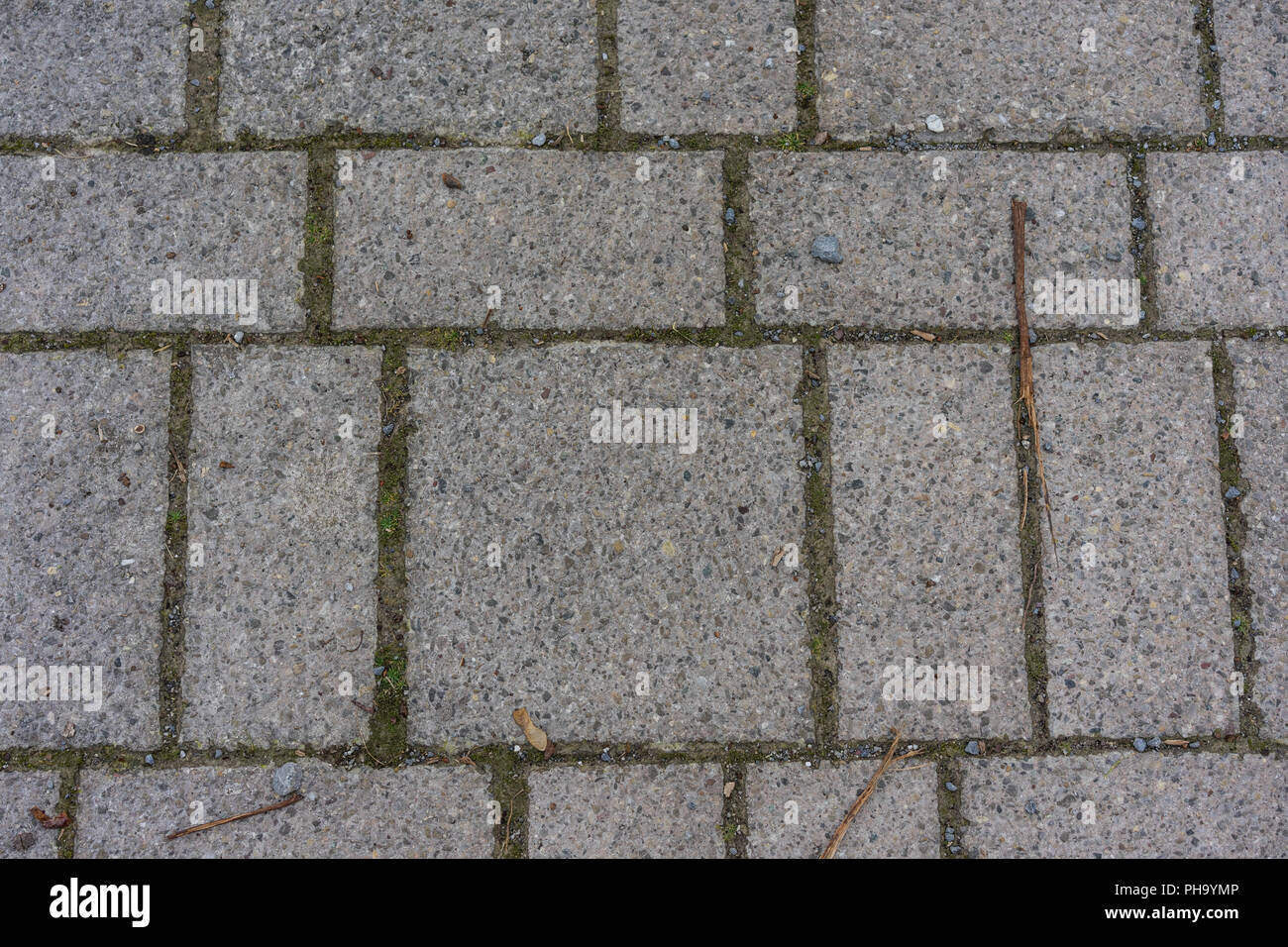 Pebble Stone Path Walkway High Resolution Stock Photography and Images ...