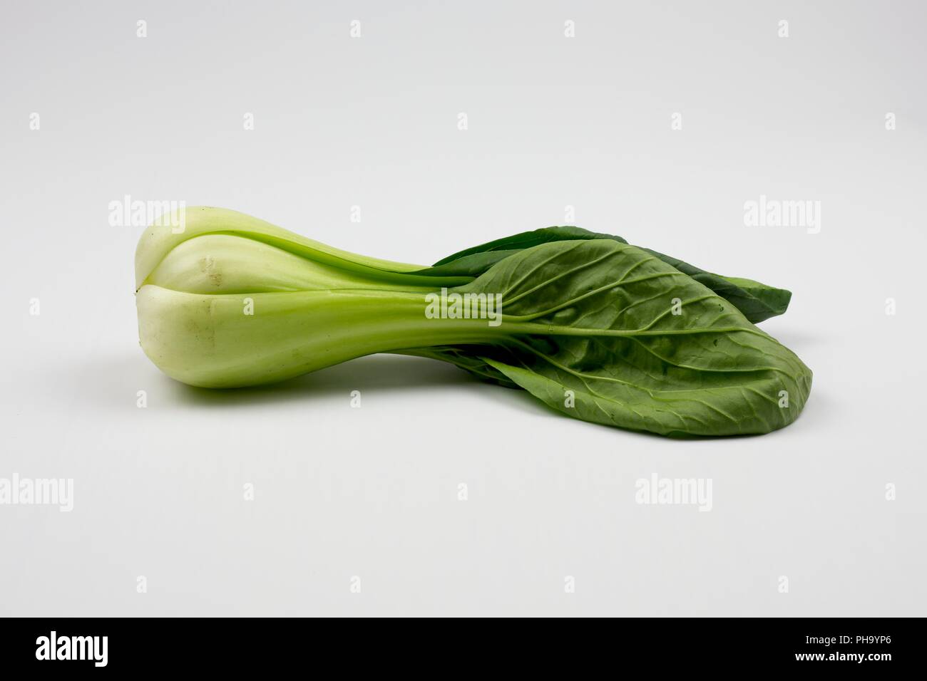 Raw Pak Choi High Resolution Stock Photography and Images - Alamy