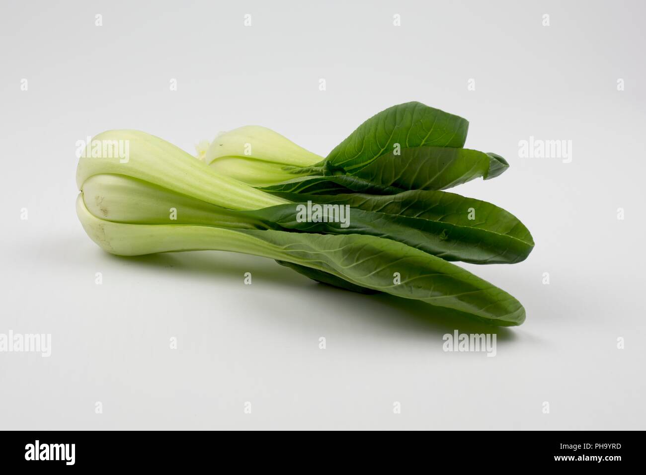 Raw pak choi hi-res stock photography and images - Alamy