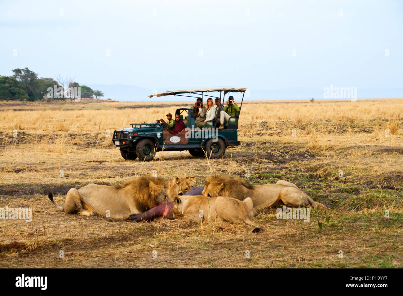Hippo meat hi-res stock photography and images - Alamy