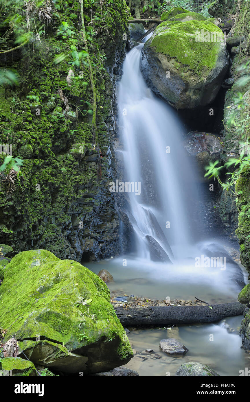 Waterfall and little bird Stock Photo - Alamy