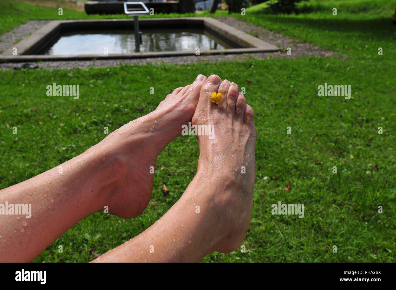 Wet circuit hi-res stock photography and images - Alamy