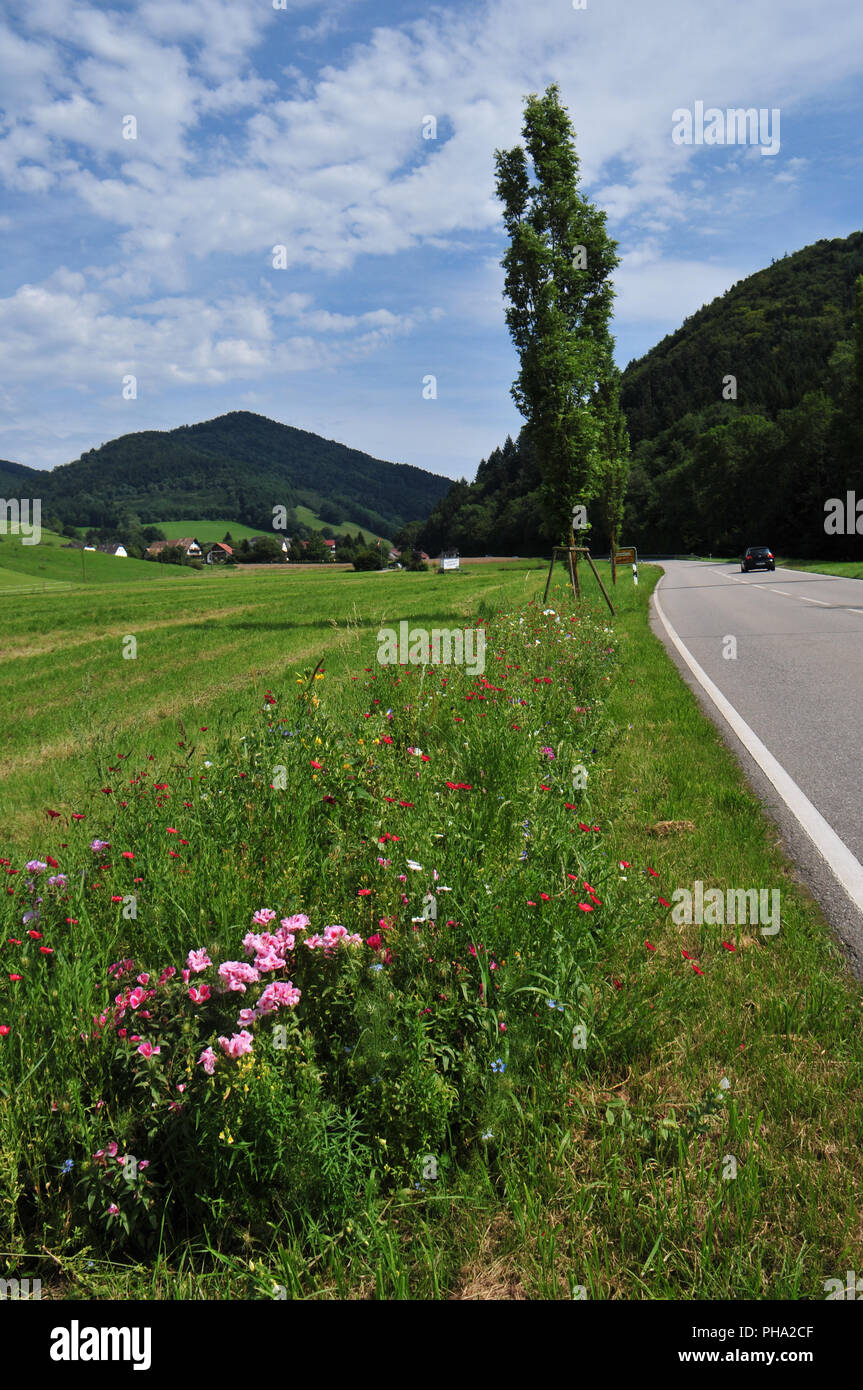 Roadside greenery in europe Stock Photo - Alamy