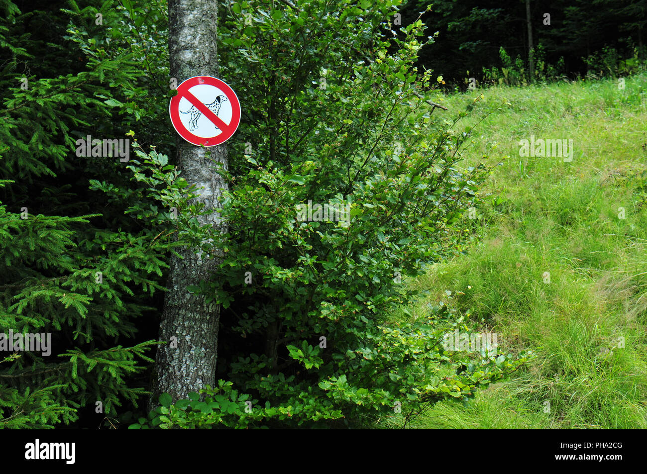 Dogs prohibited sign Stock Photo - Alamy