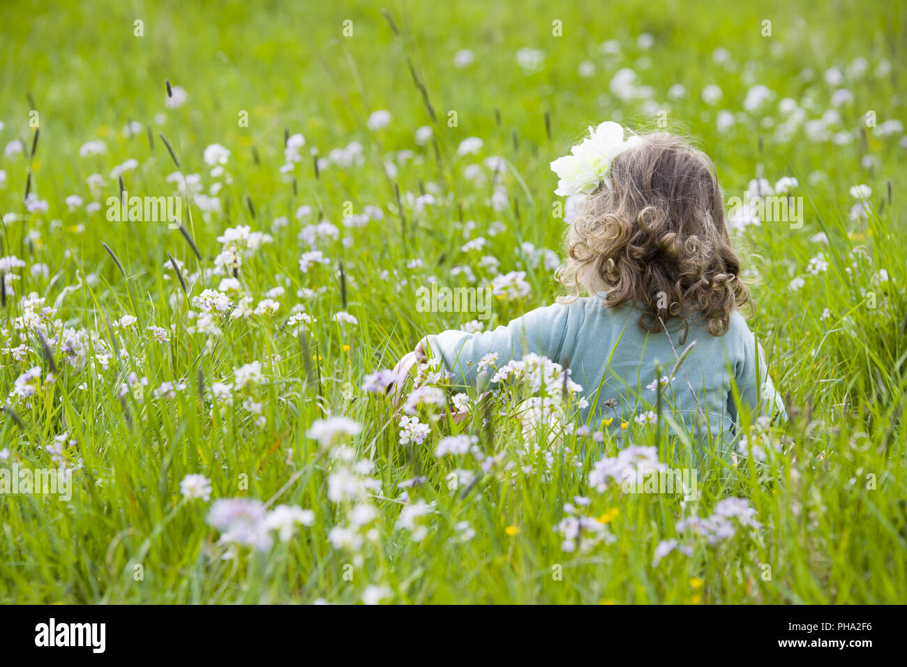 Picking Flowers back view Stock Photo - Alamy