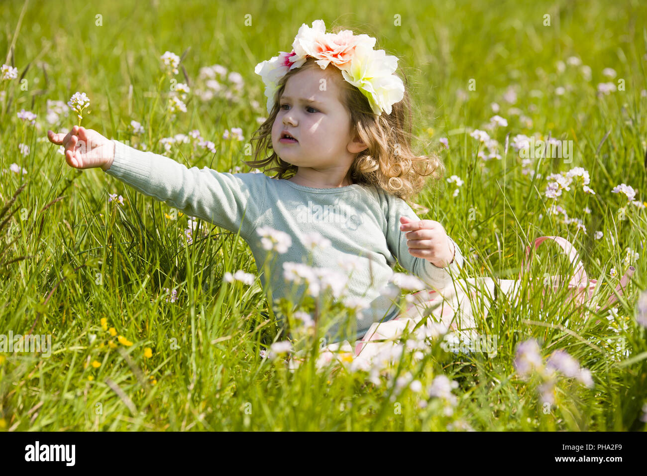 Child picking flowers hi-res stock photography and images - Alamy