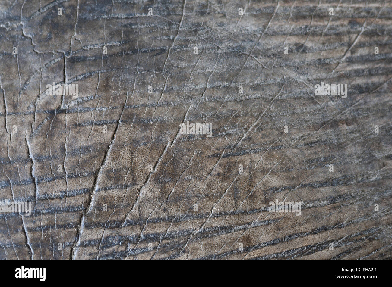 Rustic gray, brown wood background Stock Photo - Alamy