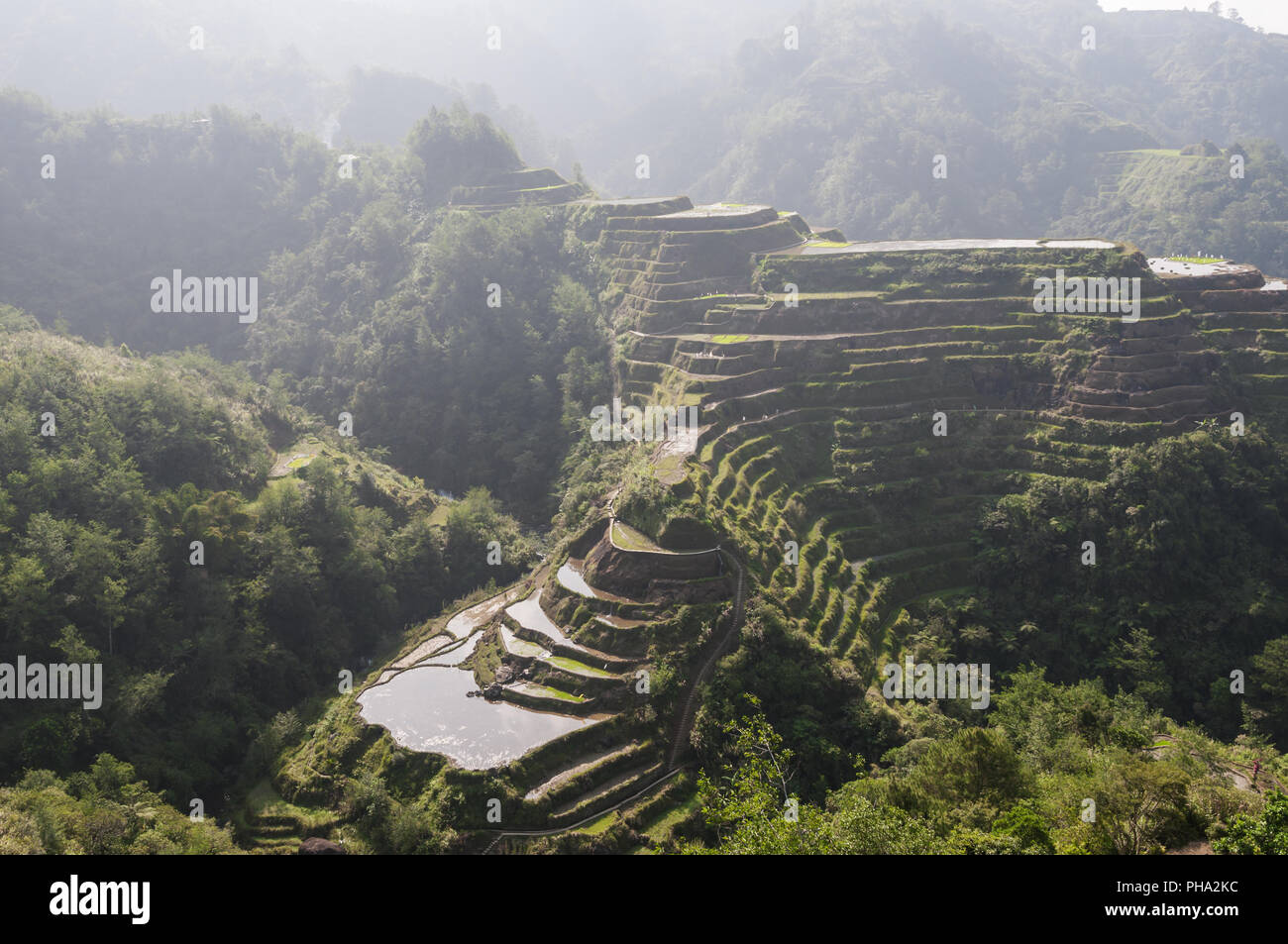 Rice terraces around Banaue Luzon Island, Philippines Stock Photo - Alamy