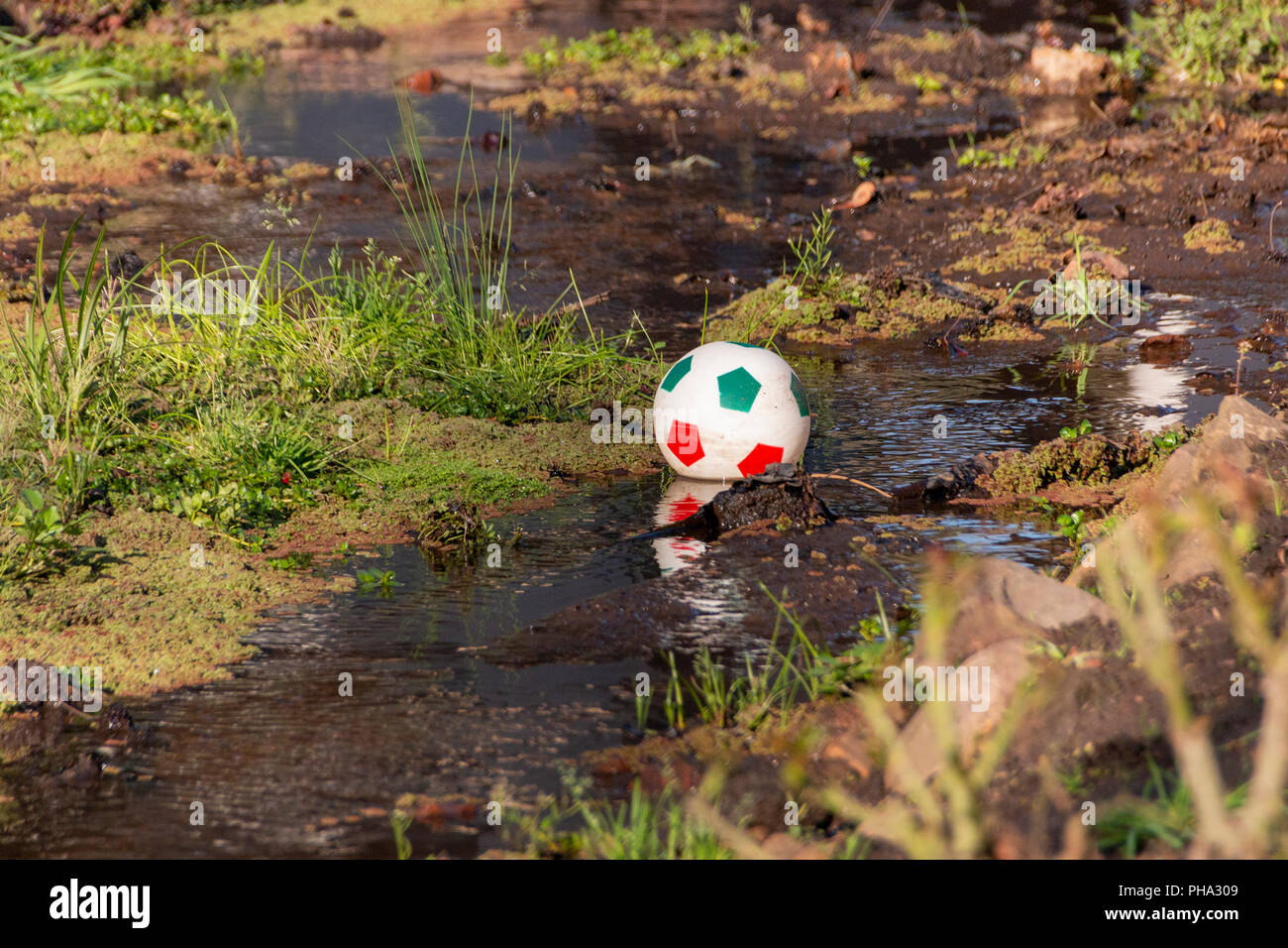 A close up of a red and blue ball stuck in a flowing river Stock Photo ...