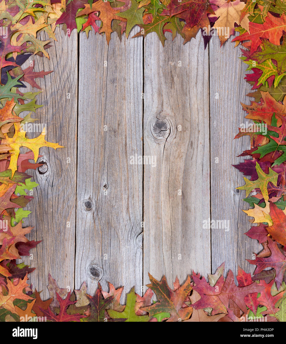 Early autumn leaves on rustic wooden boards Stock Photo - Alamy
