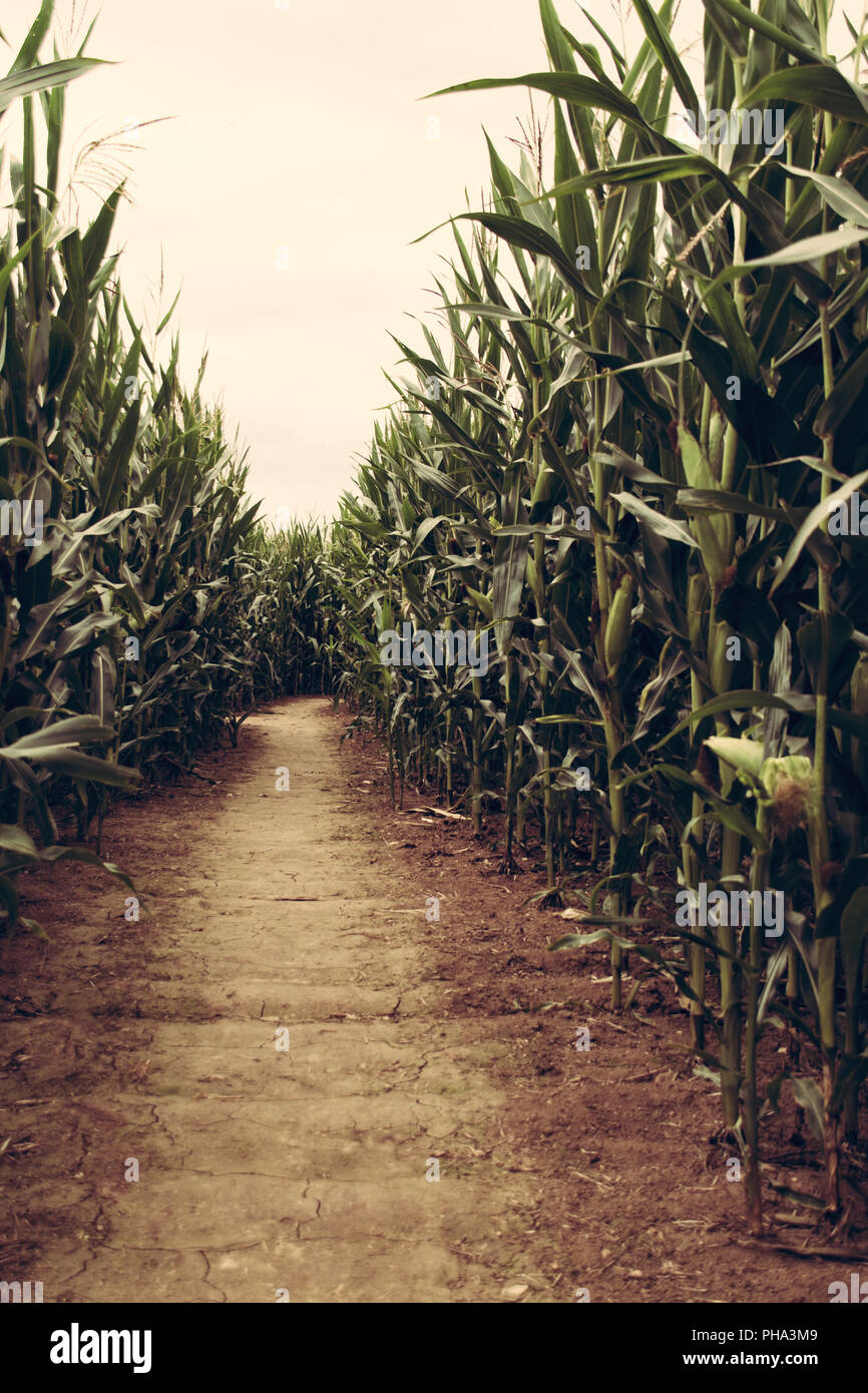 The mystical way hi-res stock photography and images - Alamy