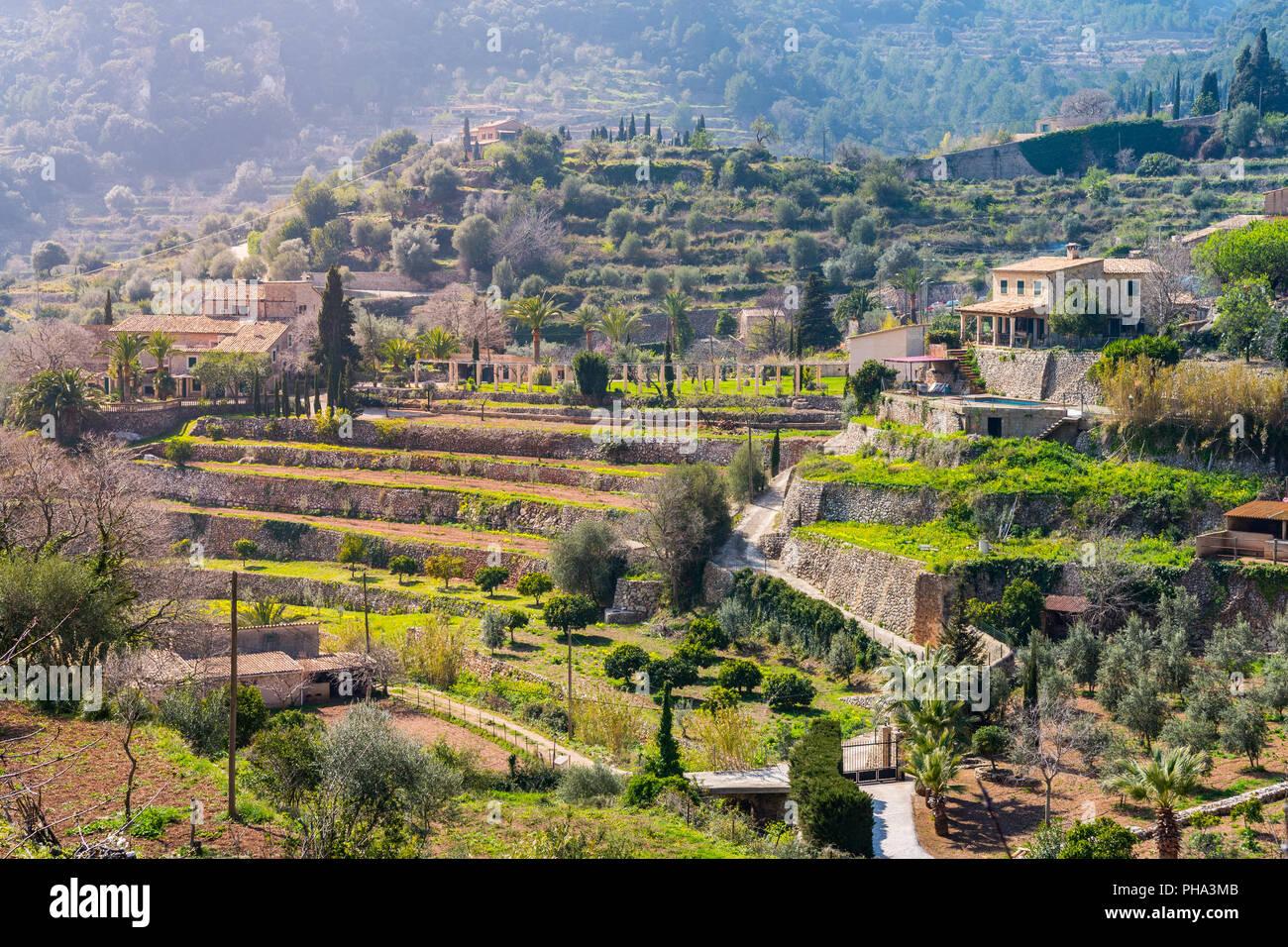 Wine mountains close to Valldemossa (Majorca Stock Photo - Alamy
