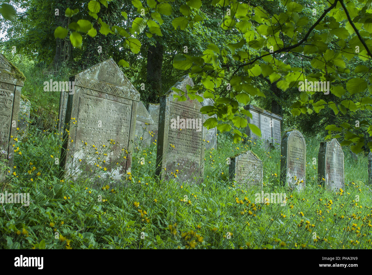 Germany and cemetery hi-res stock photography and images - Alamy