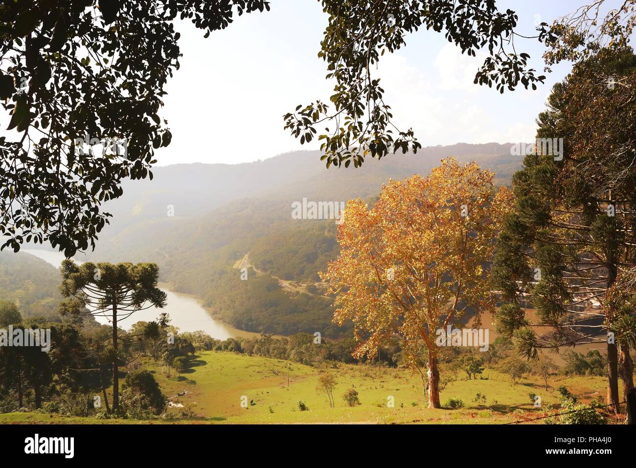 Fall landscape in south of Brazil Stock Photo - Alamy
