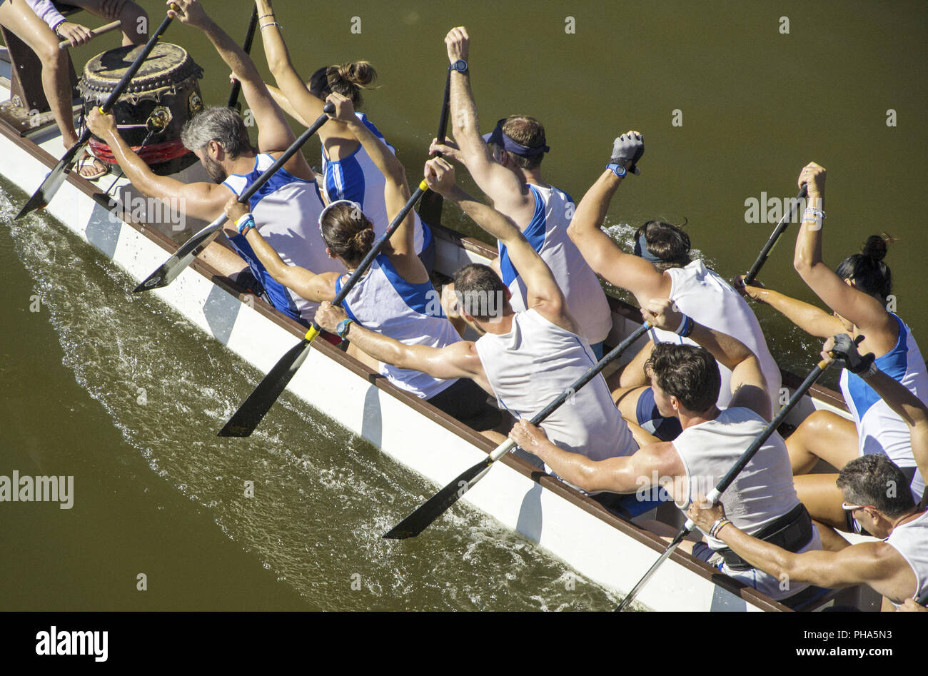 team in a effort during a canoe race Stock Photo - Alamy