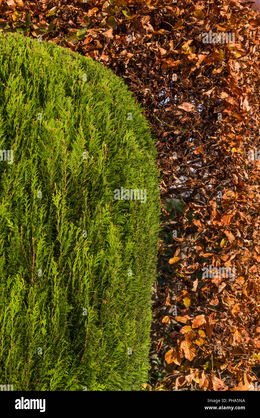 Natural fence hi-res stock photography and images - Alamy