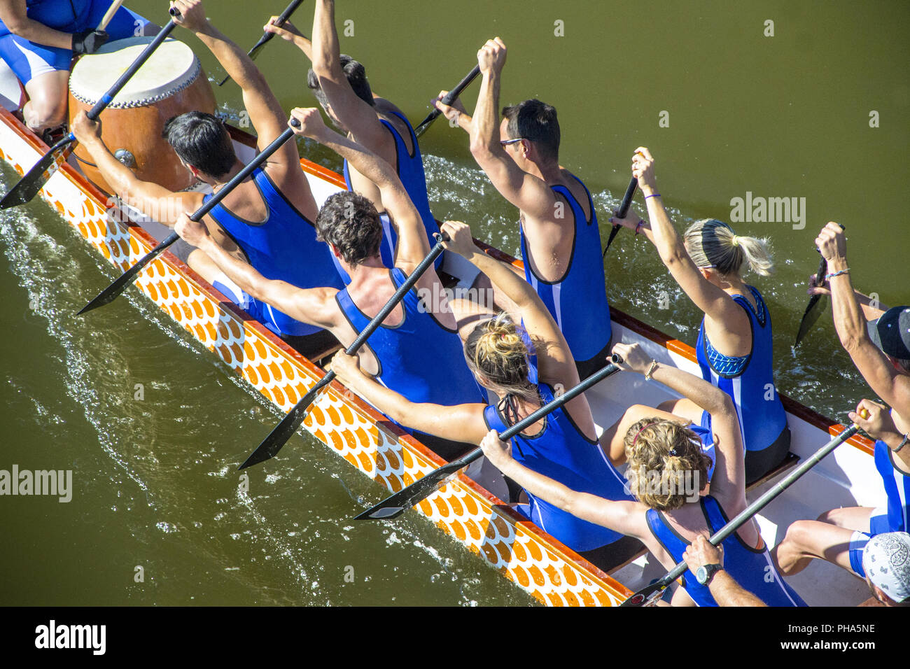 team in a effort during a canoe race Stock Photo - Alamy