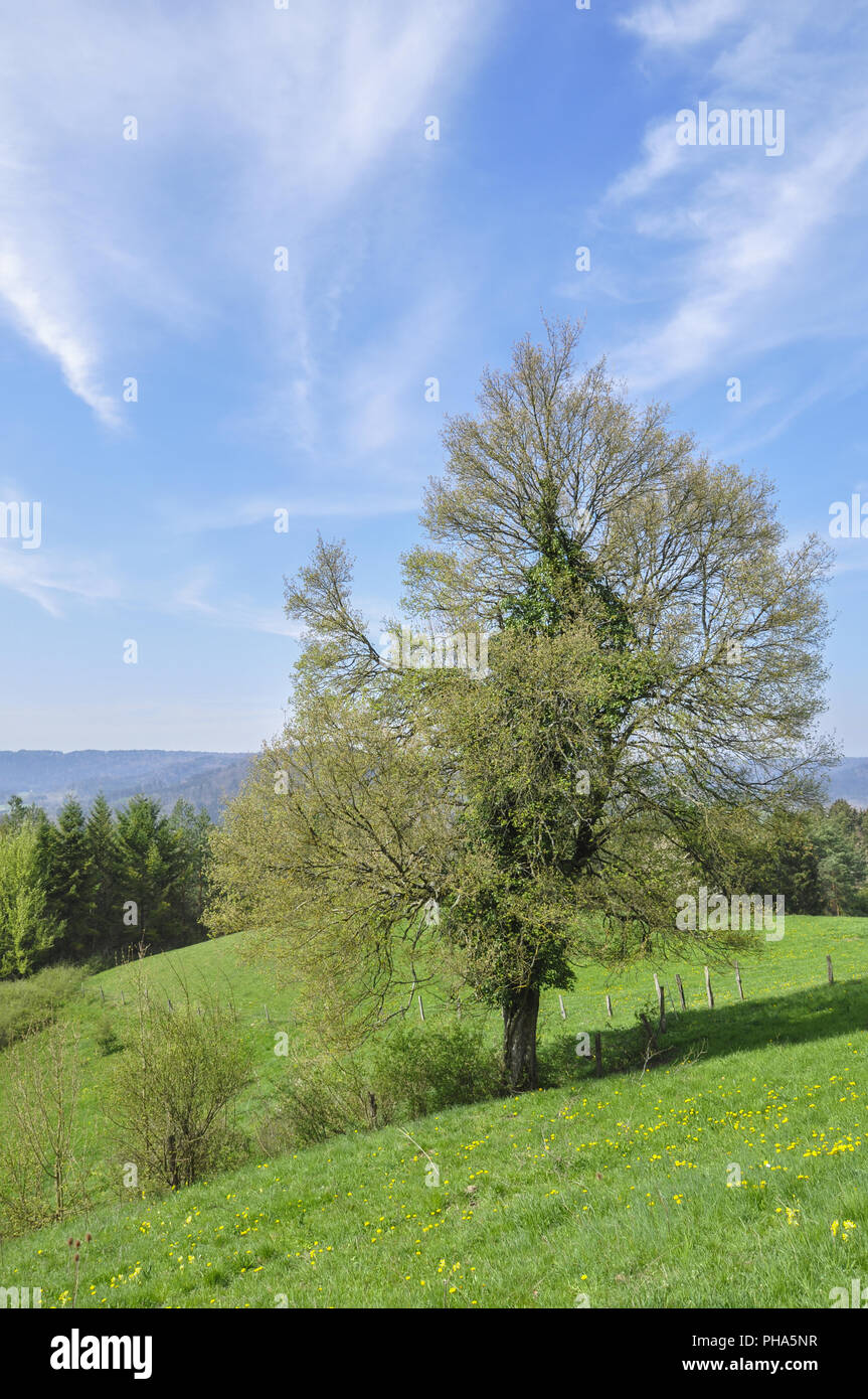 Michelbach see hi-res stock photography and images - Alamy