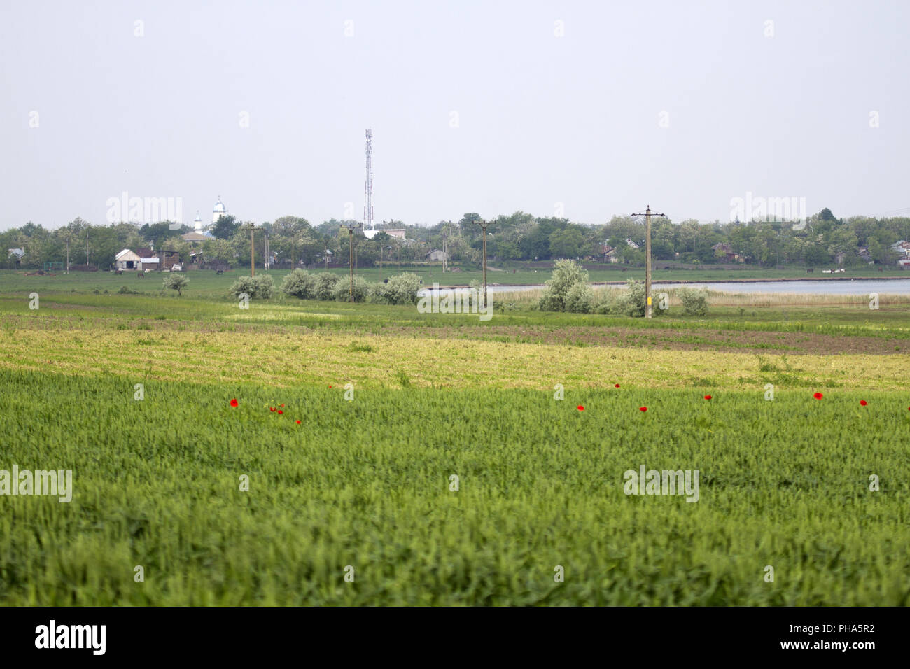 Movila Miresii, little village, Walachei, Romania Stock Photo - Alamy