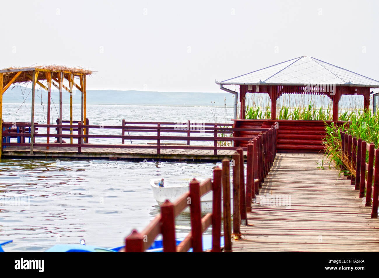 Lake Balta Alba, County Braila, Romania Stock Photo - Alamy