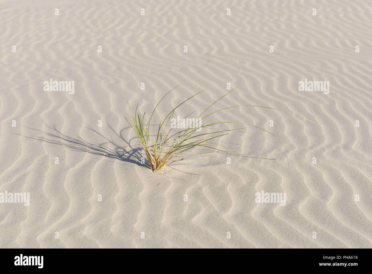 Grass structures hi-res stock photography and images - Alamy