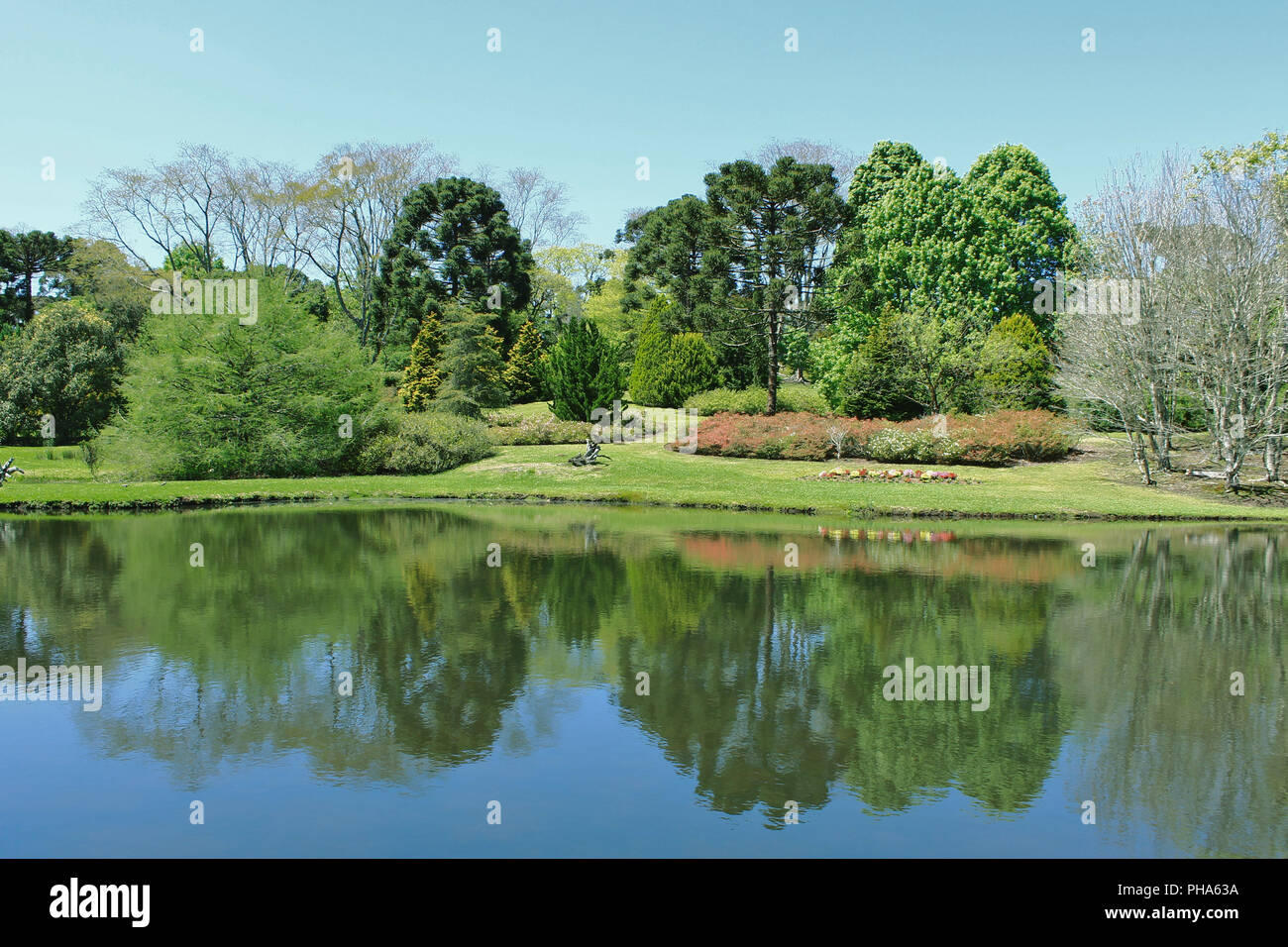 Reflections of a landscape in a lake, full of green and blue. Concepts ...