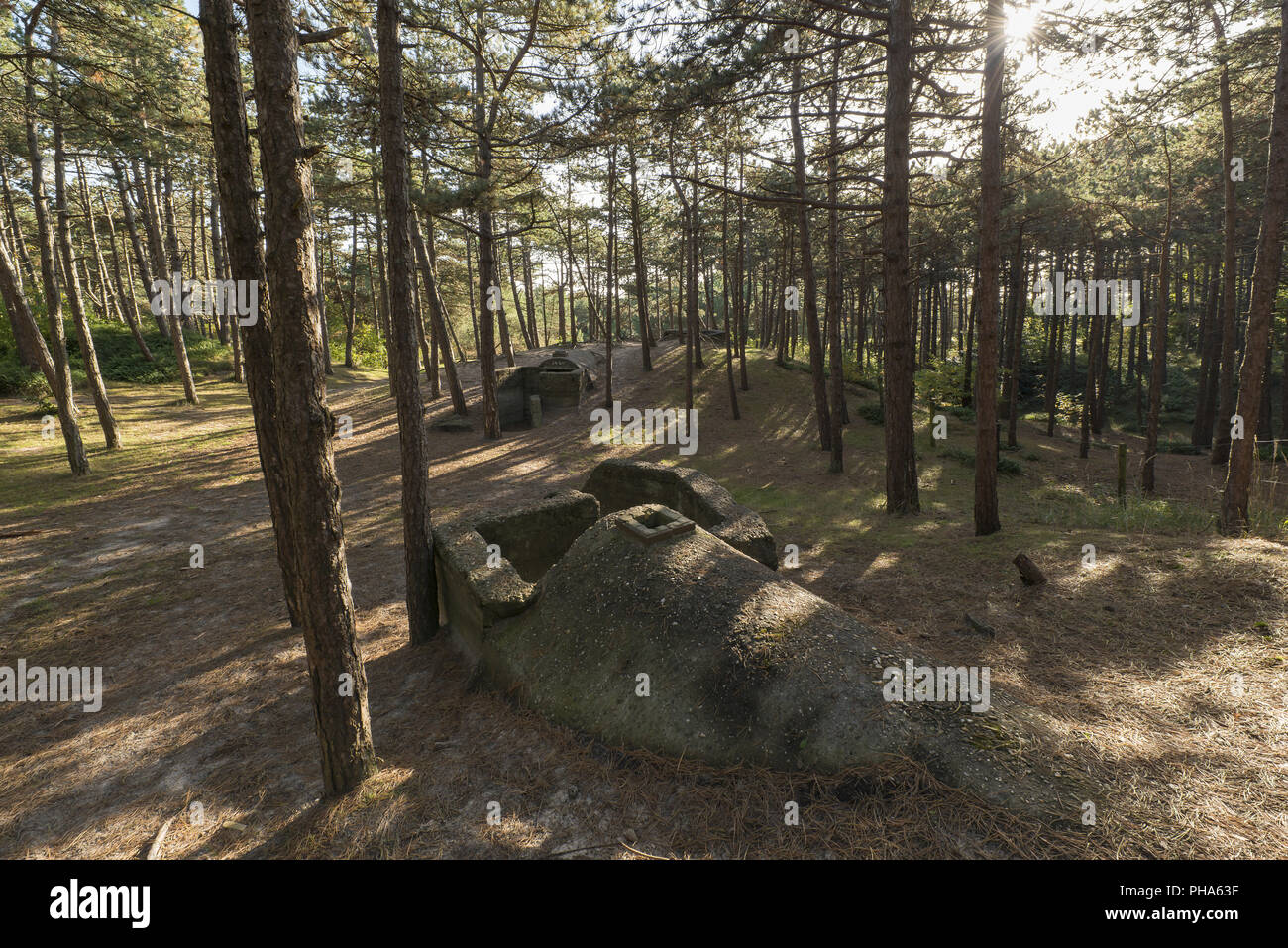 Old German bunker Stock Photo - Alamy