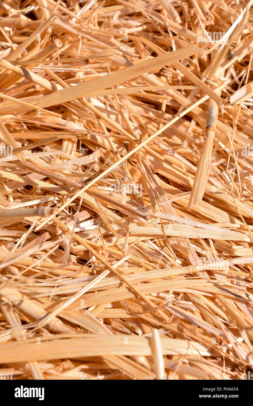 Dry straw texture hi-res stock photography and images - Alamy