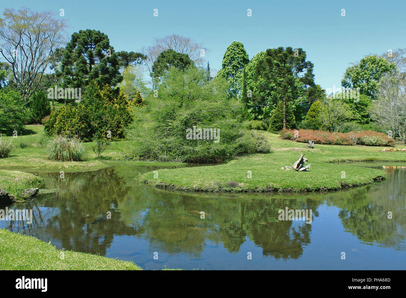 Reflections of a landscape in a lake, full of green and blue. Concepts ...