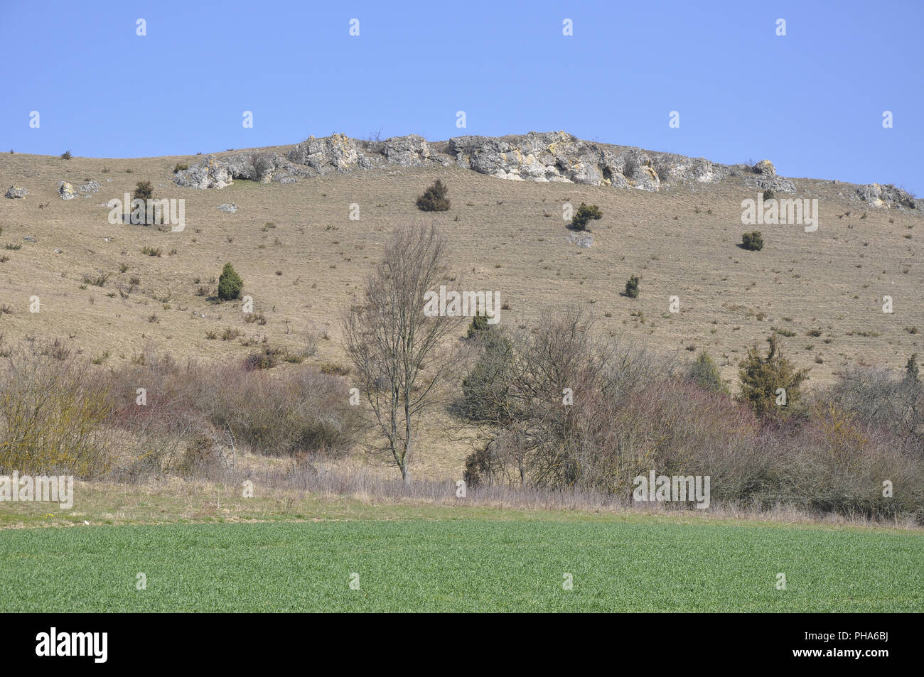 Protected Landscape around Blasienberg Rock Formations, Germany Stock ...
