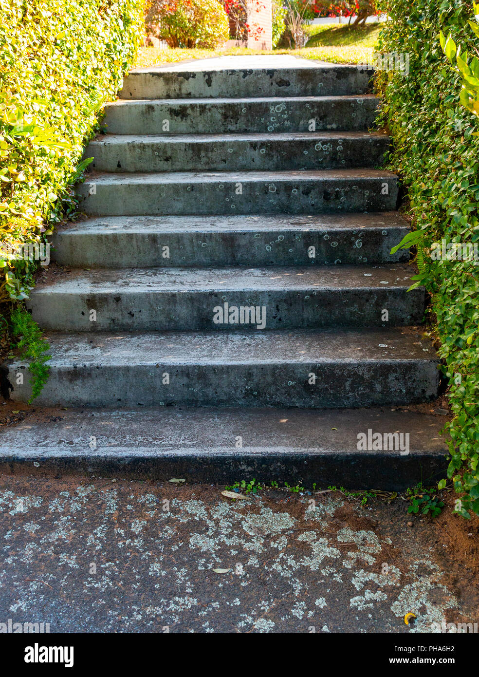 A close up view of a flight of outdoor stairs leading to the upper ...