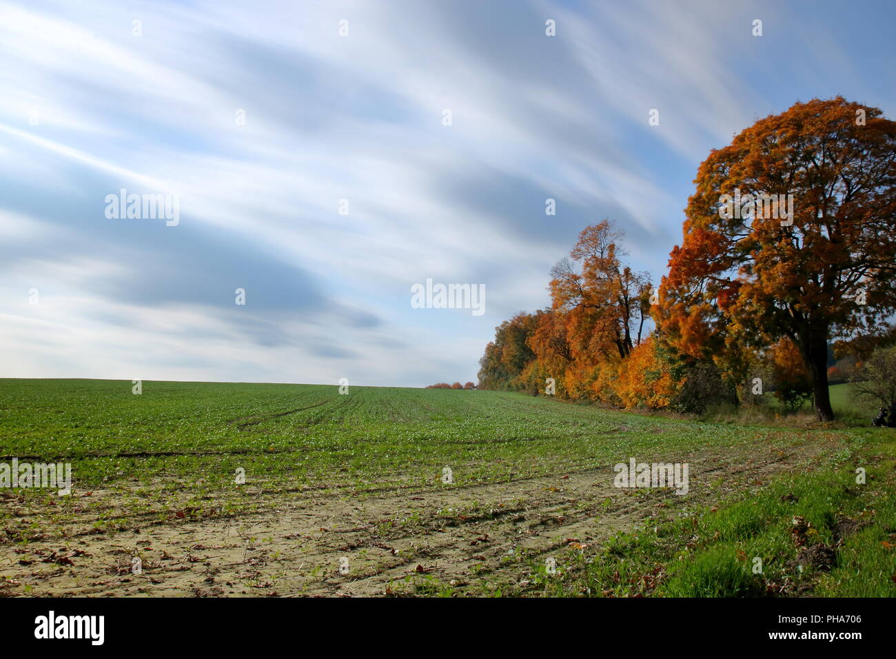 Autumnal (fall) landscape with trees and bushes with colorful trees ...