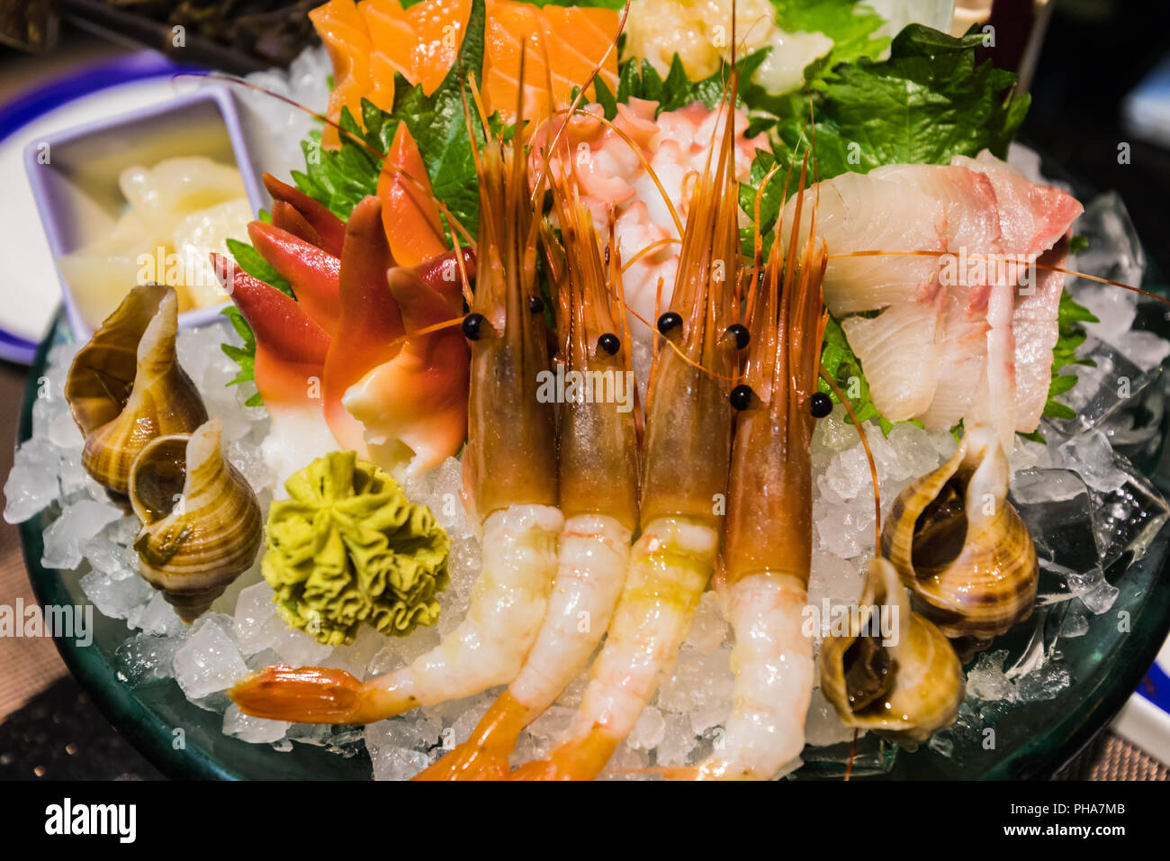 Yellowtail kingfish hi-res stock photography and images - Alamy