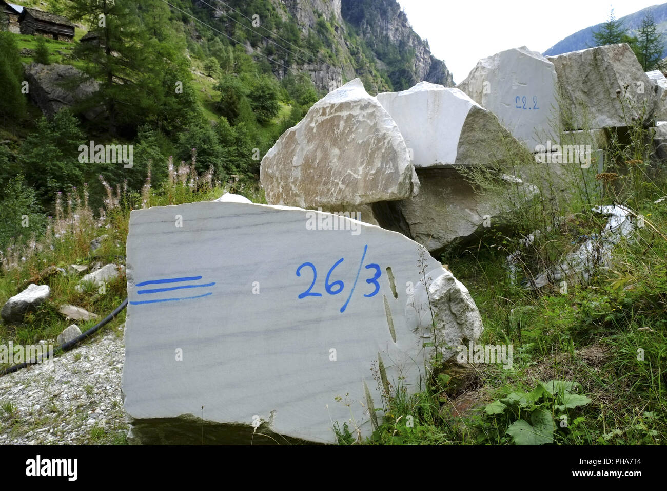 Peccia marmor hi-res stock photography and images - Alamy